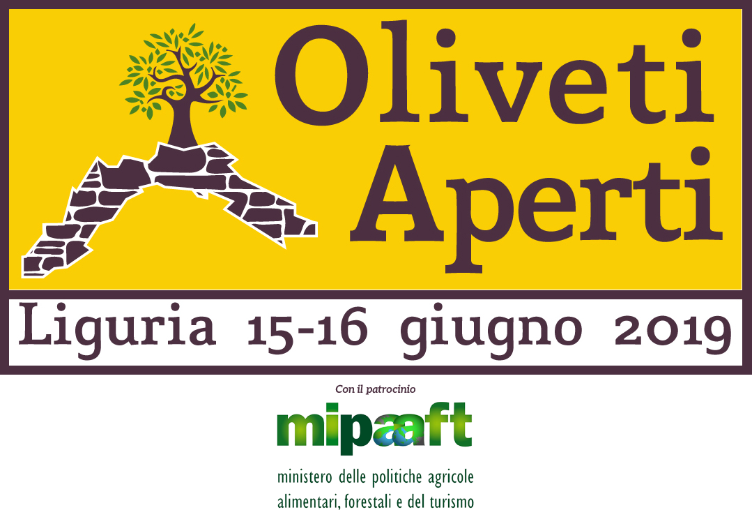 Oliveti aperti - olivetiaperti - Olio DOP Riviera Ligure